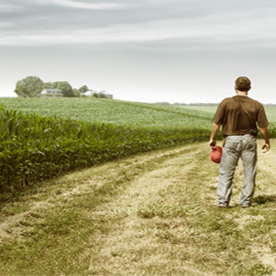 Compeer Financial Territory Farmland Value Trends - Compeer